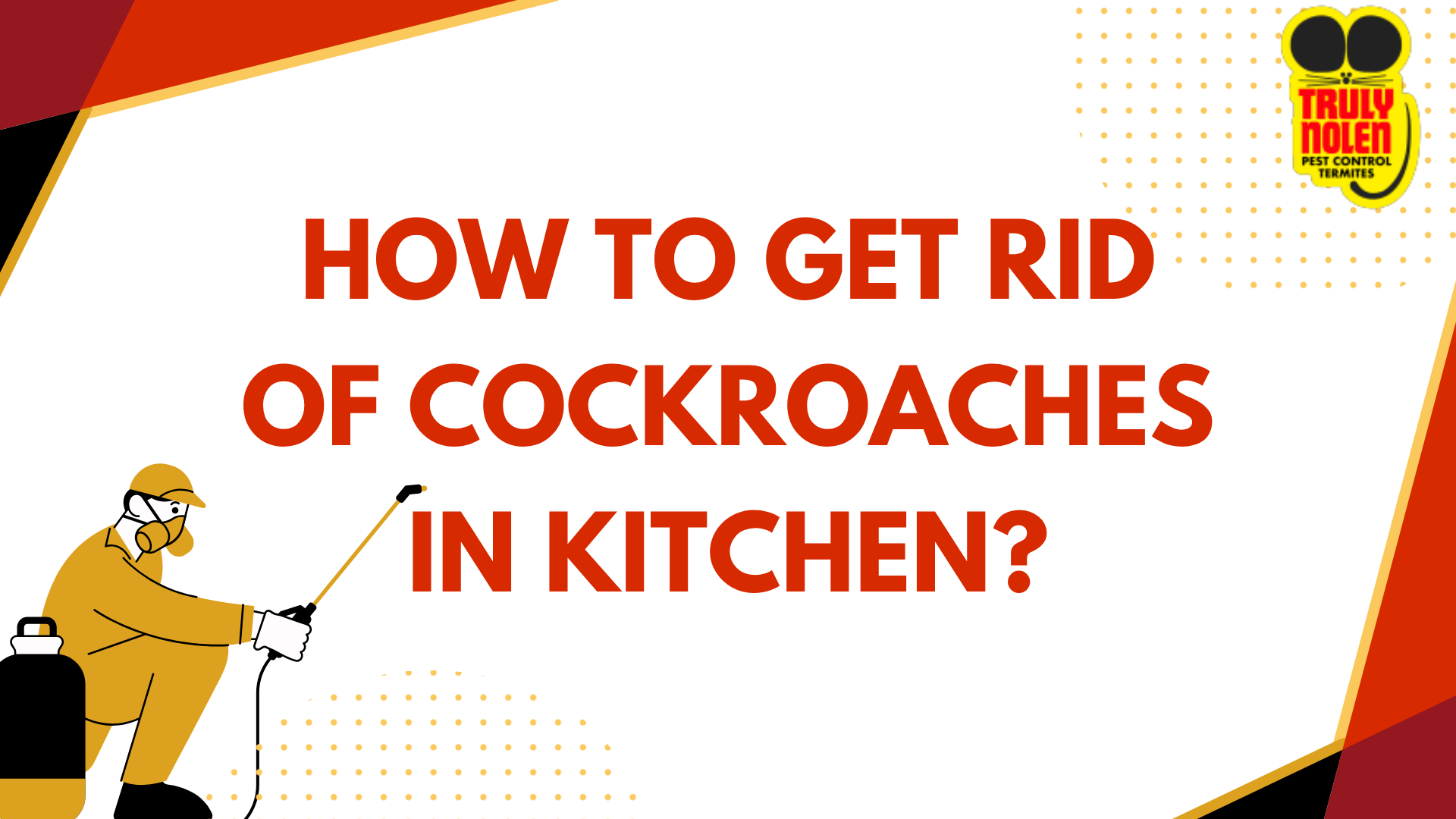 How to Get Rid of Cockroaches in the Kitchen – Expert Tips