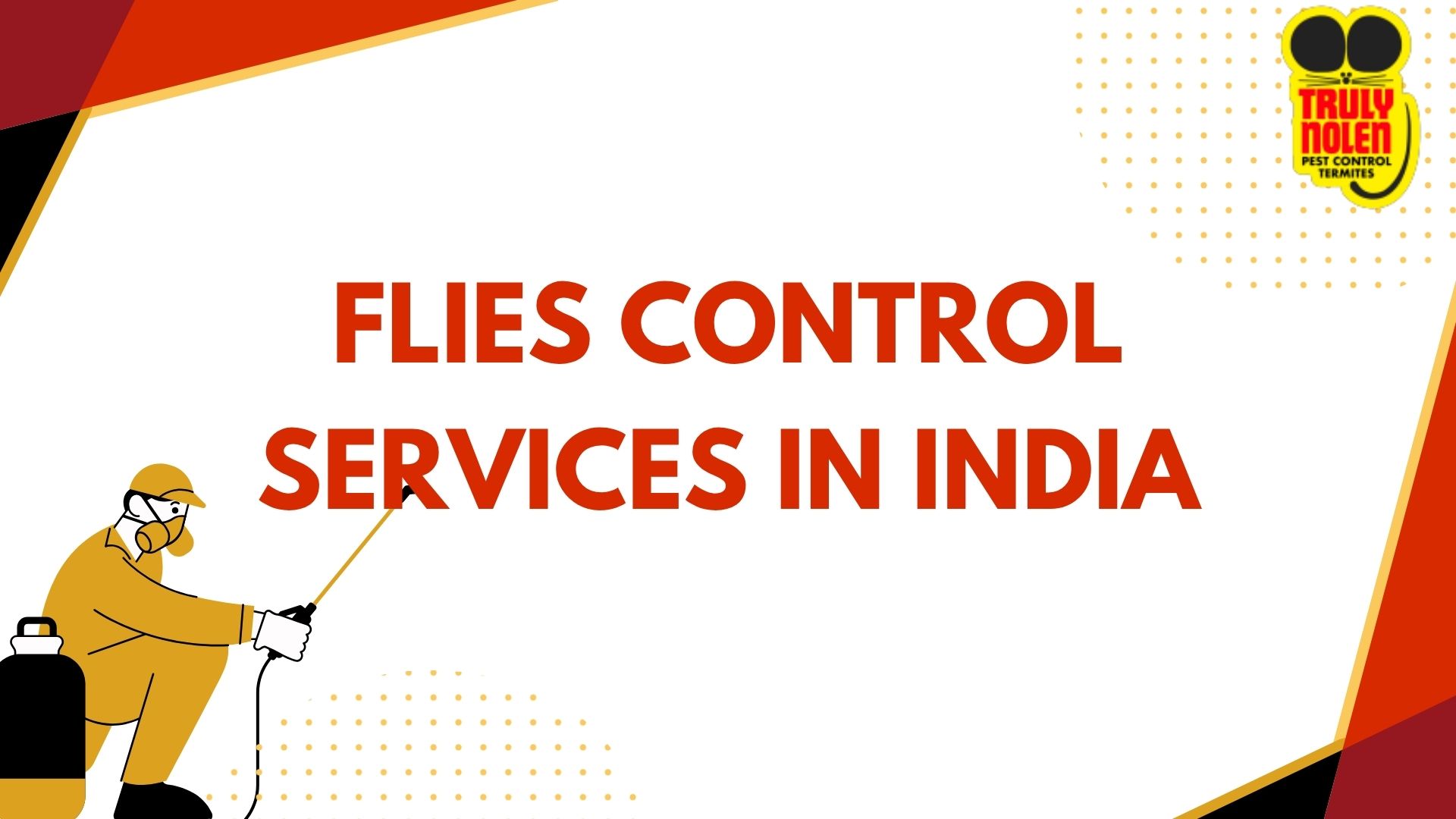 Flies Control Services in India | Truly Nolen India