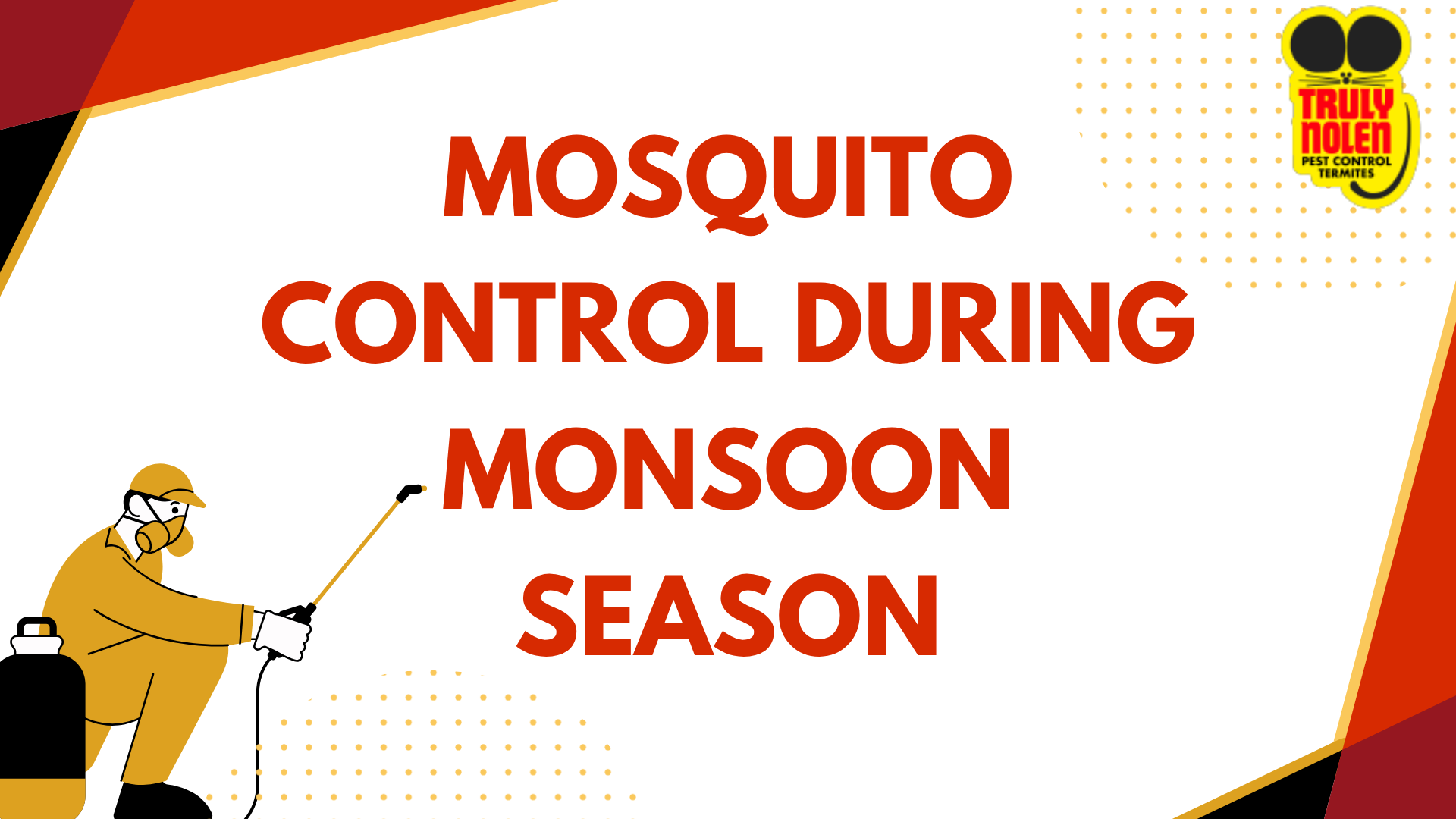 Monsoon Mosquito Control Tips for Indian Homes | TNI